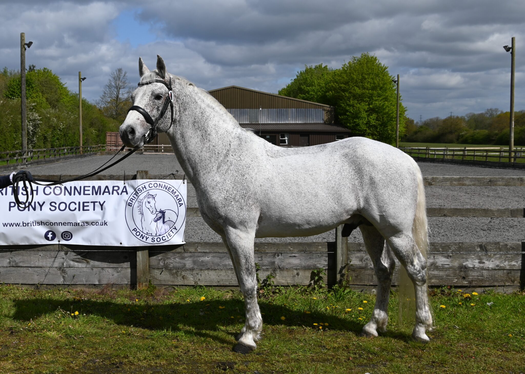BCPS Colt Inspections – Swallowfield – 24th & 25th April 2024 - British ...